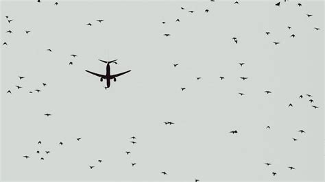 Eitan Blumin On Linkedin Minimize The Downtime When Migrating Sql Workloads To Azure Sql Managed