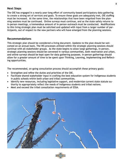 Indigenous Evaluation Indigenous Strategies