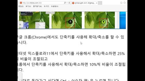 인터넷 브라우저 화면 확대 축소 하는 방법 Youtube