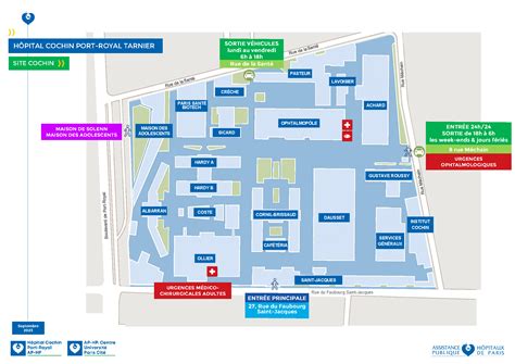 Consultation 79483 De Hématologie