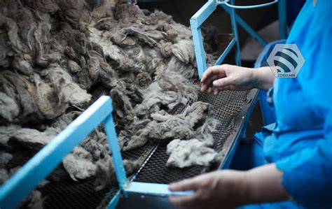 НООЛУУРЫН ҮНЭ ХАНШ