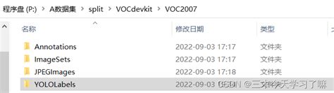【数据集的制作】voc2007数据集格式的转换 Voc2yolo 与划分 灰信网（软件开发博客聚合）