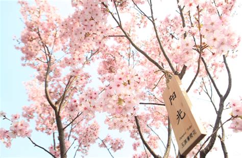 闰月的计算方法是什么