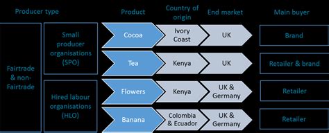 Scope Of The Research Download Scientific Diagram