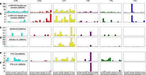 mutational signature analysis of lung adenocarcinoma skin cutaneous