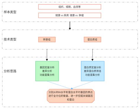 联合分析专题（二）：转录组 蛋白质联合分析的研究思路 武汉灵思生物技术有限公司