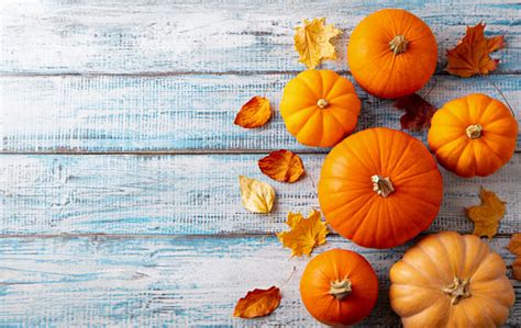 호박은 단풍과 다양합니다 파란색 나무 배경 공간을 복사합니다 맨 위 보기입니다 버터너트 스쿼시에 대한 스톡 사진 및 기타 이미지 버터너트 스쿼시 10월 11월