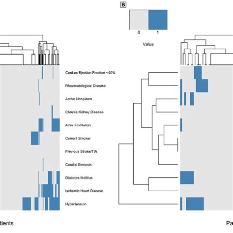 The Image Demonstrates The Hierarchical Clustering Of The Patients Download Scientific Diagram