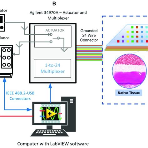 The Use Of Temporal Multiplexed Multielectrode Bioimpedance