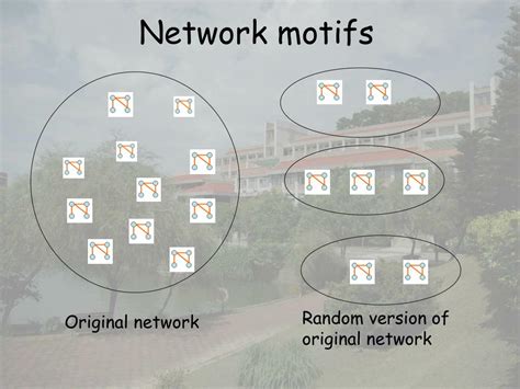 Ppt Design Principle Of Biological Networks—network Motif Powerpoint