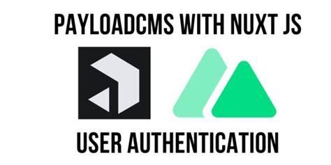 Payload Cms Authentication In Nuxt Using A Custom Plugin