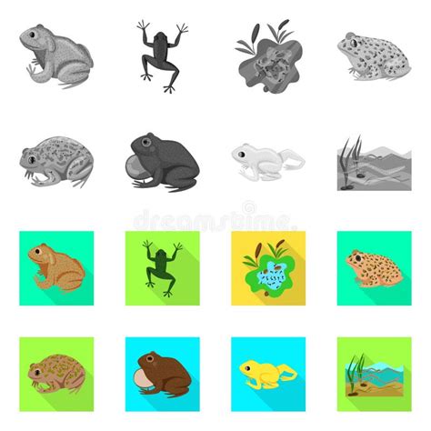 Isolated Object Of Wildlife And Bog Sign Collection Of Wildlife And Reptile Stock Vector