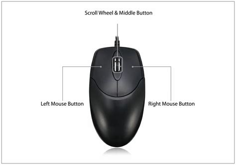 Mouse And Keyboard Settings In Blender Skillademia