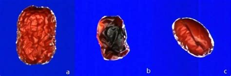 example of jujube defect image a dried jujube b broken jujube c