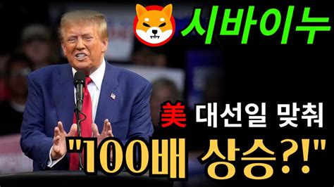 시바이누 며칠 안남았습니다 다들 이 날만 기다렸잖아요 Youtube