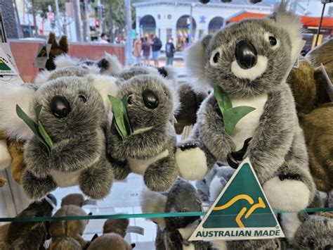 호주 여행 5일차 골드코스트에서 브리즈번 하버타운 아울렛 네이버 블로그