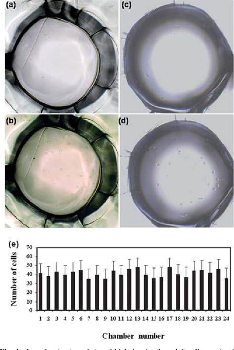 Figure 4 From Design Of A Compact Microfludic Device For Controllable