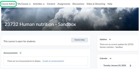 DTU Learn Support Resetting Your Course