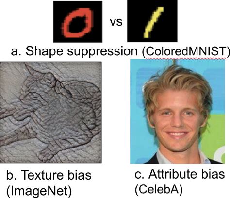 Figure 3 From A N Adversarial Feature Learning Strategy For Debiasing Neural Networks Semantic