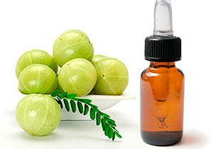 Масло амлы своими руками