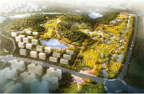 就在望城经开区！68万平方米城市生态公园计划今年开建建设项目规划