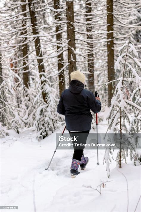 눈 덮인 숲에서 스키 트레킹 폴로 노르딕 워킹을 훈련하는 노인 여성 중년층의 야외에서 활동적인 휴식 건강한 라이프 스타일 컨셉 뒤에서 본 모습 50 54세에 대한 스톡 사진