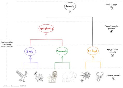 how to implement hierarchical clustering for direct marketing campaigns with python code