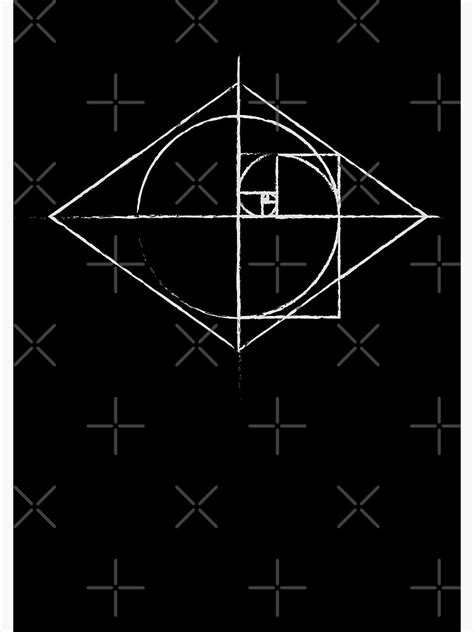 Black Golden Ratio Spiral Fibonacci Sequence Tattoo Inspired Sketch