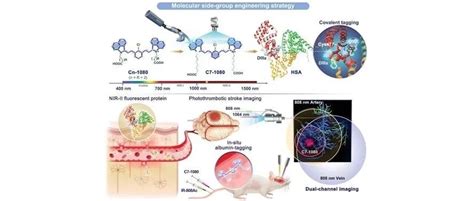 文献分享 Biorxiv：rna开关控制的rna触发荧光，用于活体植物中rna表达的实时追踪 Book学术