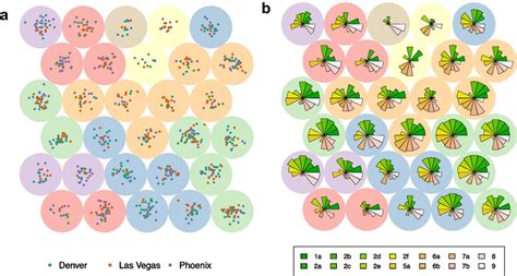 Final Som Nodes Circles And Associated Clusters Background Colors Download Scientific