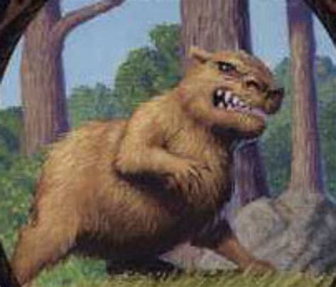 Unable To Find Mozilla Geckodriver Rails Capybara Ftemanage