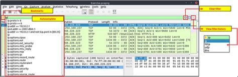 Wireshark Packet Operations — Task 3 Statistics Protocol Details Task 4 Packet Filtering