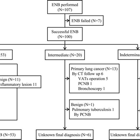 Flow Chart Of Final Diagnosis Of Enb Performed Nodules Download