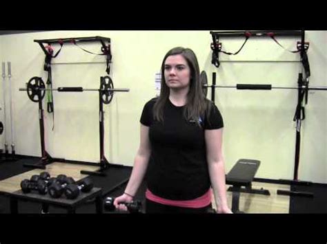 DB BICEP CURL YouTube