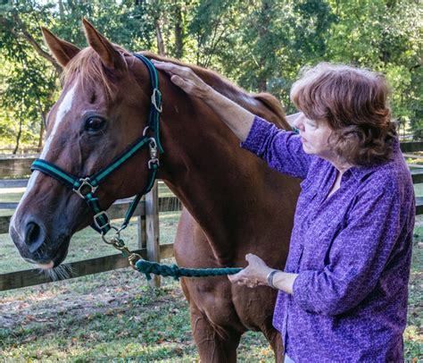 Nancy Scott MMES Equine Specialist Masterson Method