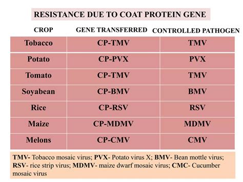 Gentic Engineering For Disease Resistance In Crops Pptx Biotech And Biomedical Industry