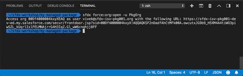 Use The Cli To Open Your Packaging Org Salesforce Dx For Isvs