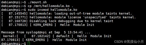 解决insmod错误：内核版本不匹配导致的模块加载问题 Csdn博客