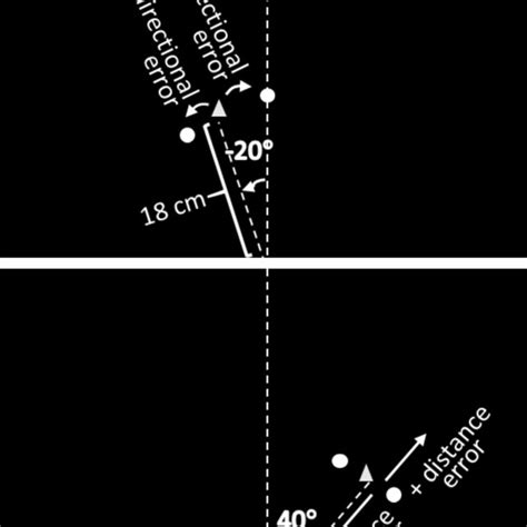 diagrams of the spatial working memory task showing the target
