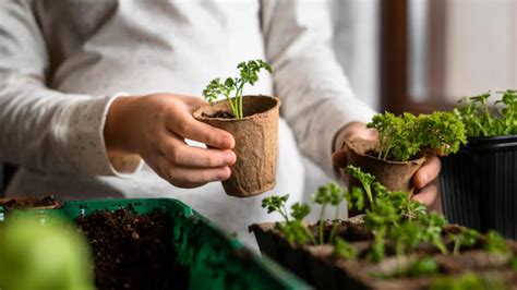 Sustainable Farming Practices Innovations For Sustainable Growth