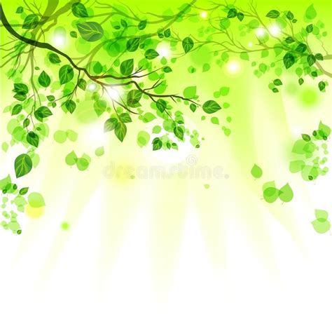 Spring Leaves Light Background Stock Vector Illustration Of Lush