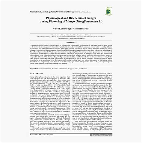 Seed Germination Vigor Seedling Accelerated Aging Test HD Png Download Kindpng