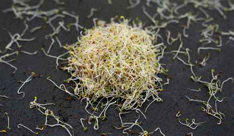 15 Types Of Hay For Cows Farmhouse Guide