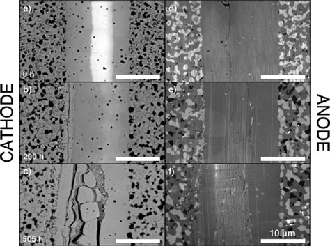 Hand Polished Backscatter Electron Images A C And Fib Sem