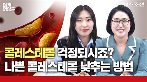 건강검진 후 가장 걱정되는 것 나쁜 콜레스테롤 제대로 알고 관리하자 이게뭐얌 Youtube