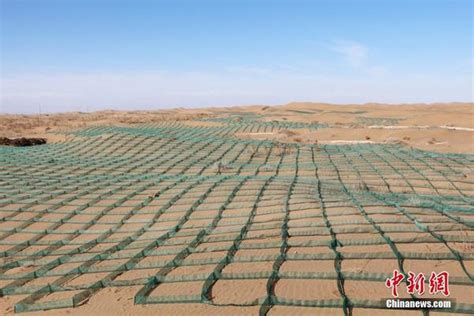甘肃高台引进塑料尼龙网格固沙筑沙障 手机凤凰网