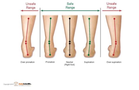 gait lecture ortho deviations flashcards quizlet