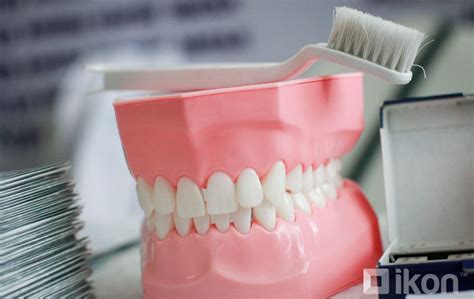 П Сайнжаргал бусад өгүүлэл