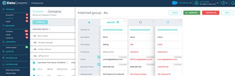 Review Duplicates In Salesforce Datagroomr Support