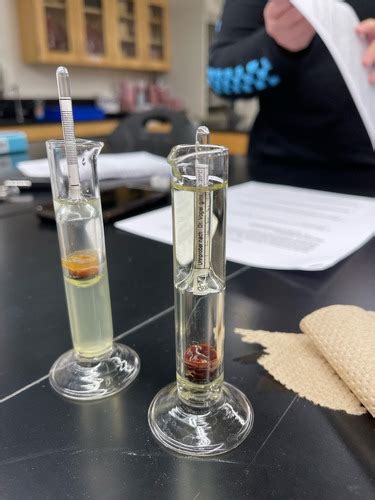 Lab Final Flashcards Quizlet